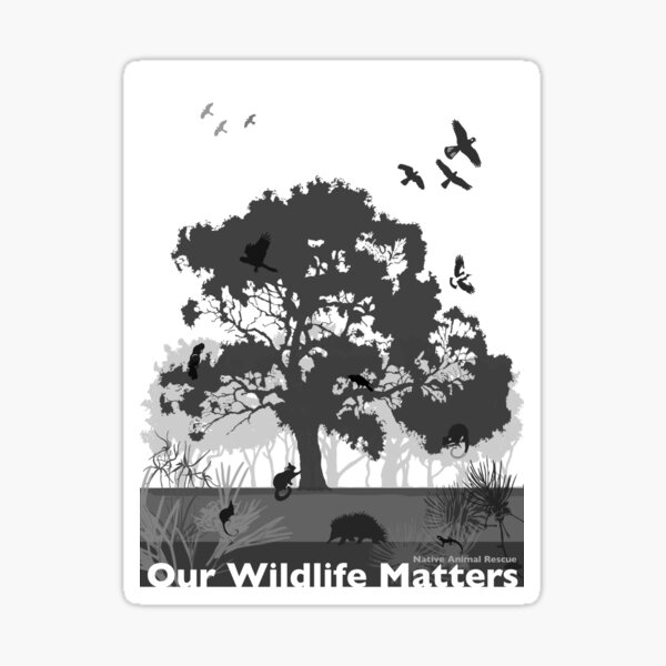 "Our Wildlife Matters - Support Native Animal Rescue" Sticker by esti ...