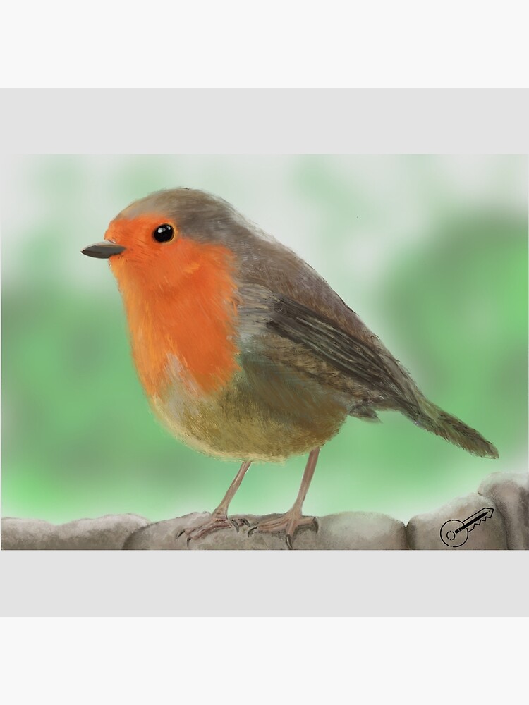 "Red Robin - Digital Art" Poster by KeysDrawings | Redbubble