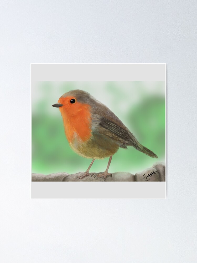 "Red Robin - Digital Art" Poster by KeysDrawings | Redbubble
