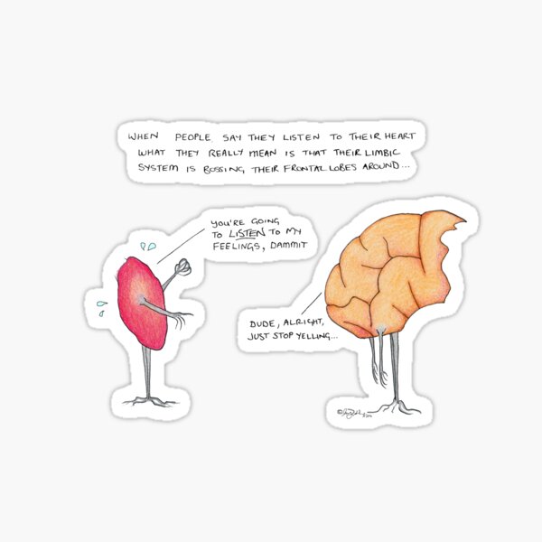 "Listen to your limbic system?" Sticker for Sale by Immy | Redbubble