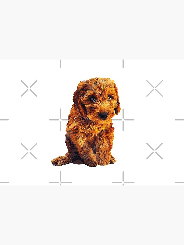 "Cockapoo Labradoodle Goldendoodle Doodle Cavoodle Poodle Puppy Dog ...
