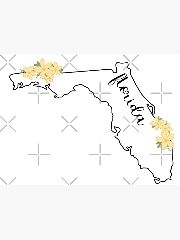 Lámina fotográfica «Copia del esquema del estado de origen de Florida ...