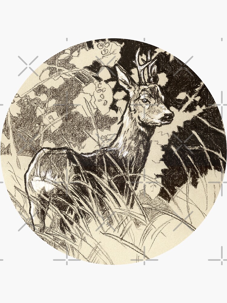 "Roebuck in the field drawing" Sticker for Sale by SakalDesign | Redbubble