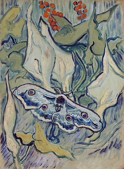 "Vincent van Gogh - Great Peacock Moth" Poster by Monetlover | Redbubble