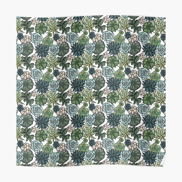 "Succulent Repeating Pattern • Cartoon Ink Drawing" Poster for Sale by ...