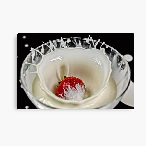 Splosh Gifts & Merchandise | Redbubble