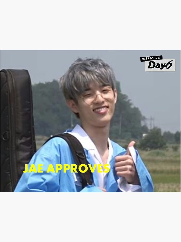 "Jae approves meme" Sticker for Sale by EkaG | Redbubble