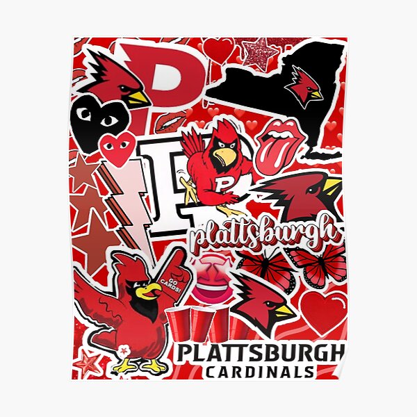 "SUNY Plattsburgh Collage" Poster for Sale by emilyzizz | Redbubble