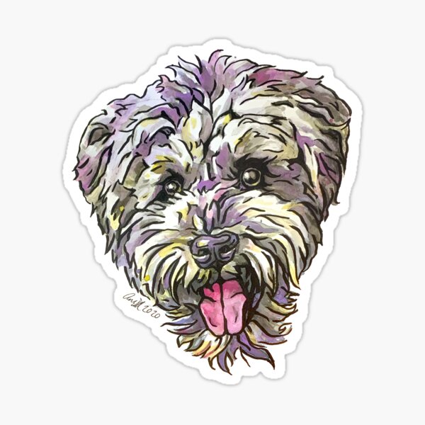 "Theo" Sticker for Sale by RichmondSPCA | Redbubble