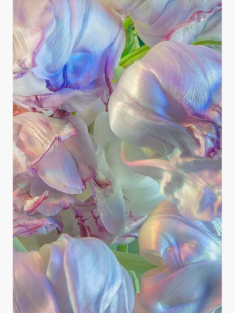 "Bloomin" Sticker by Playboicarti19 | Redbubble