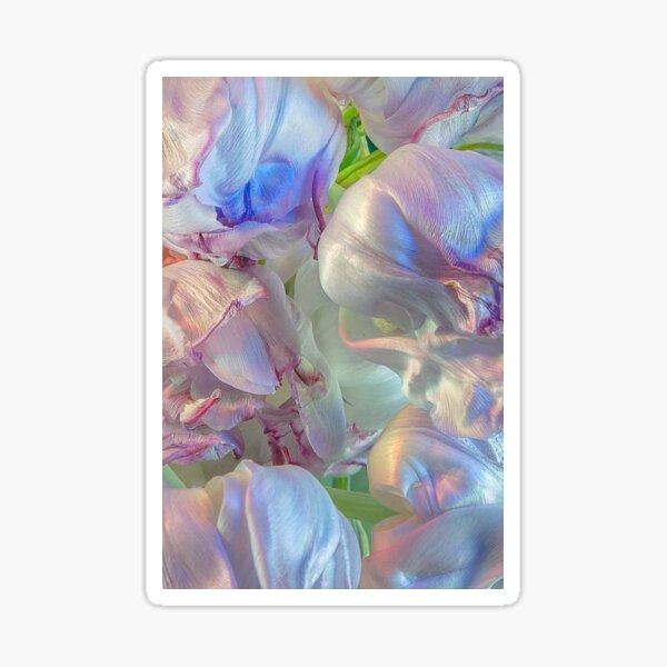 "Bloomin" Sticker by Playboicarti19 | Redbubble