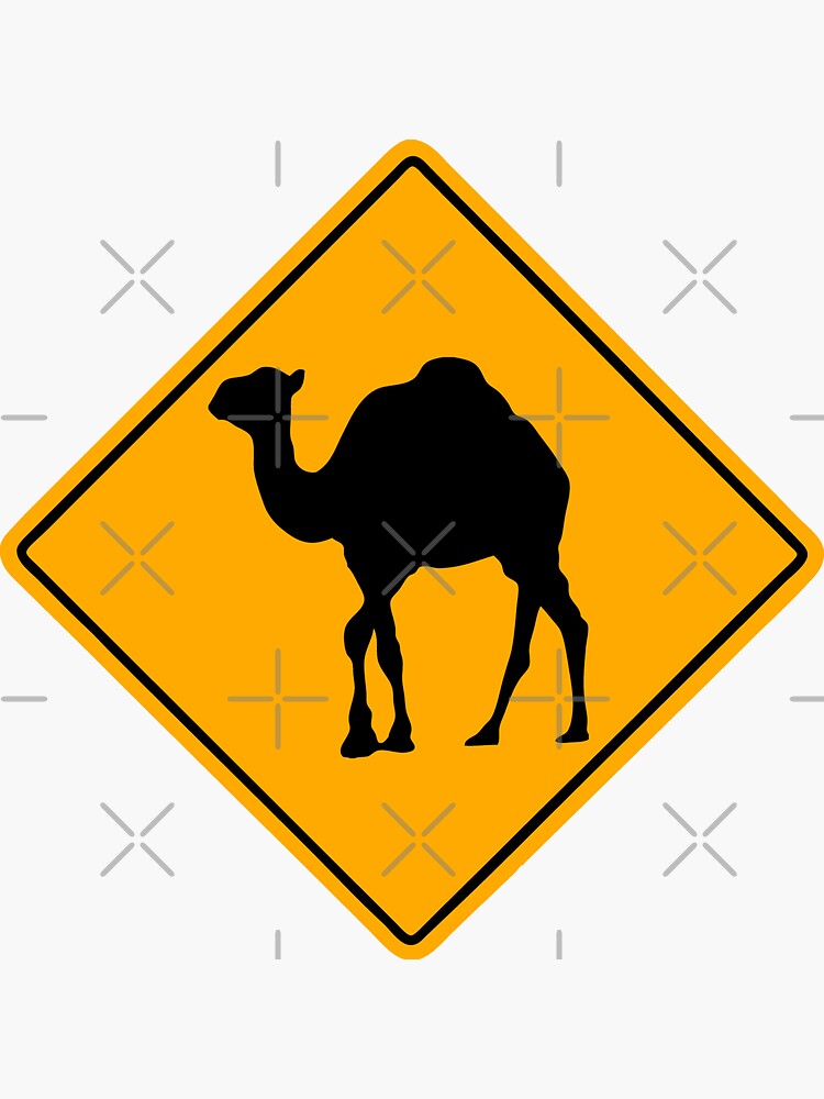 Camel Merch & Gifts for Sale | Redbubble