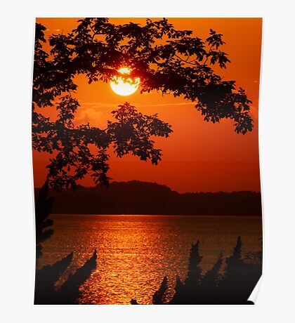 Paradise: Posters | Redbubble