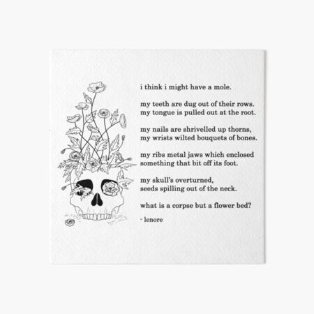 "Naturmort Poem + Skull Illustration (Light)" Art Board Print by ...