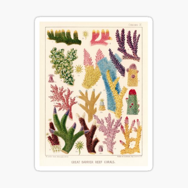 "Vintage illustration - Great barrier reef corals" Sticker for Sale by ...
