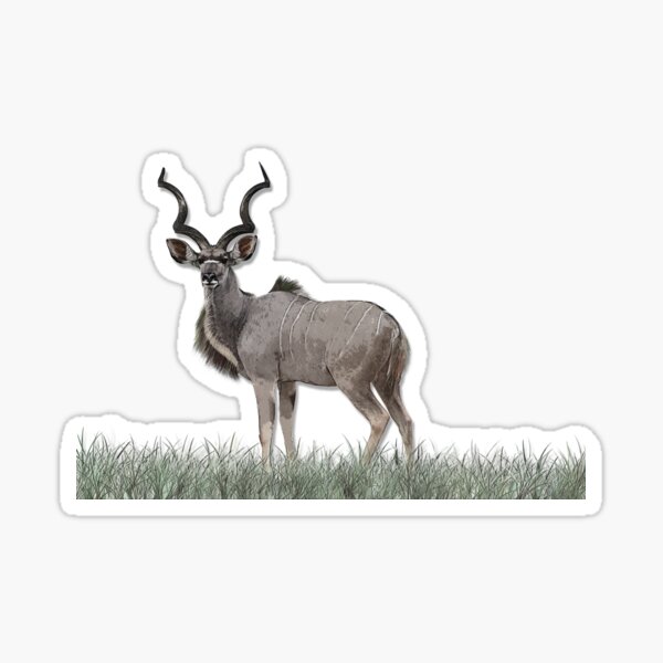 "kudu antelope" Sticker for Sale by artfreek | Redbubble
