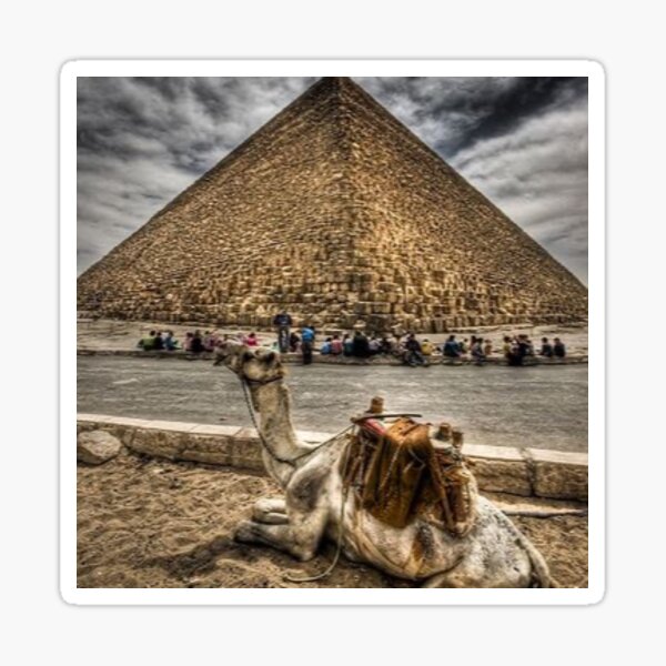 "Pyramid Egypt camel " Sticker by Gapor | Redbubble