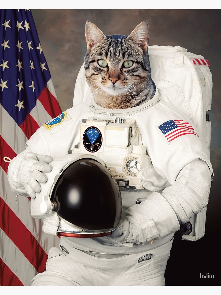 "ASTRO CAT" Poster by hslim | Redbubble