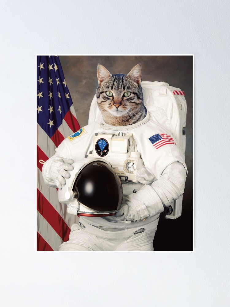 "ASTRO CAT" Poster for Sale by hslim | Redbubble