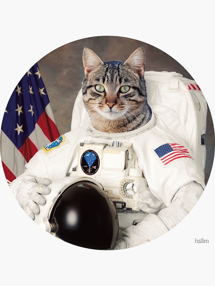 "ASTRO CAT" Sticker for Sale by hslim | Redbubble