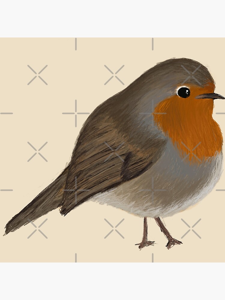 "Robin Drawing" Poster by aimeetregunno | Redbubble