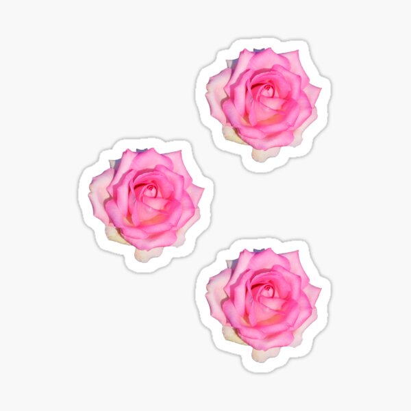 "Pretty Pink Rose" Sticker for Sale by STHogan2 | Redbubble