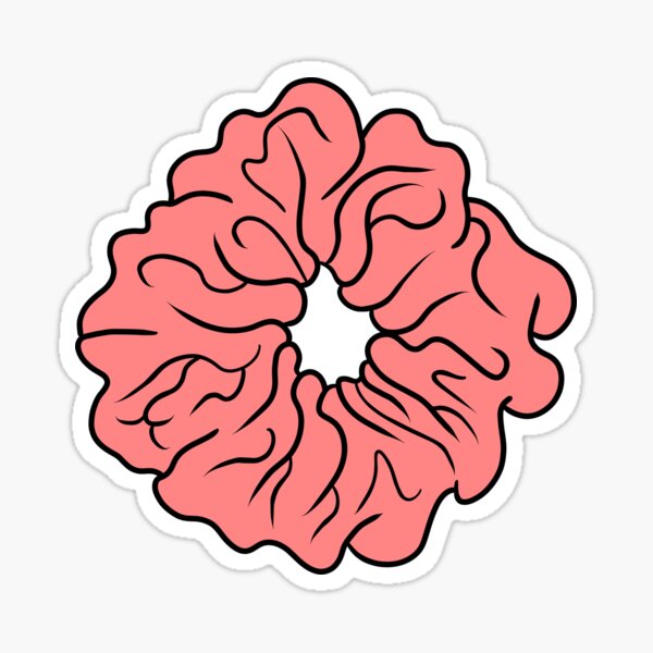 "Light Pink Hair Scrunchie" Sticker for Sale by laurasgallery | Redbubble