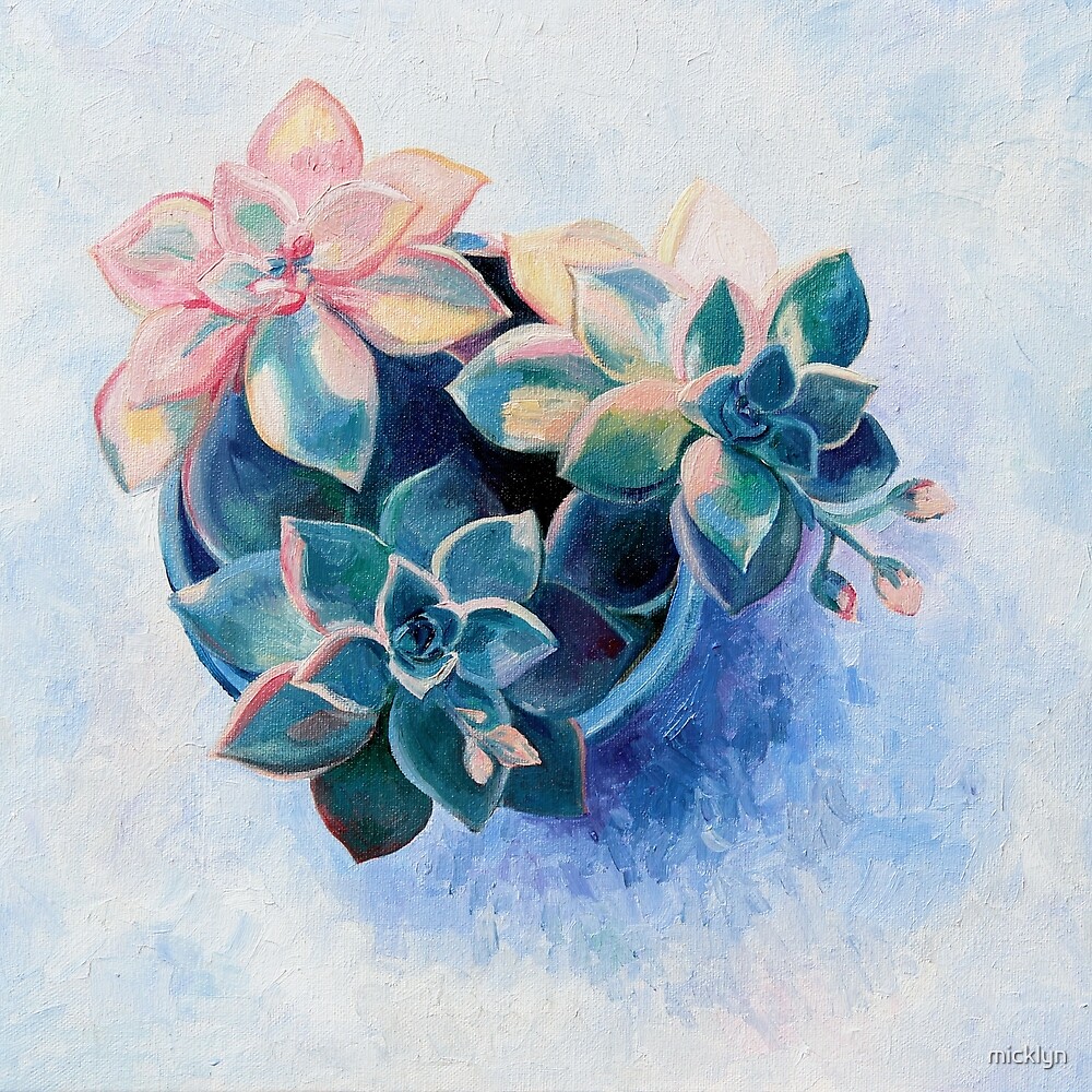 "Pastel Succulents - an oil painting on canvas" by micklyn | Redbubble