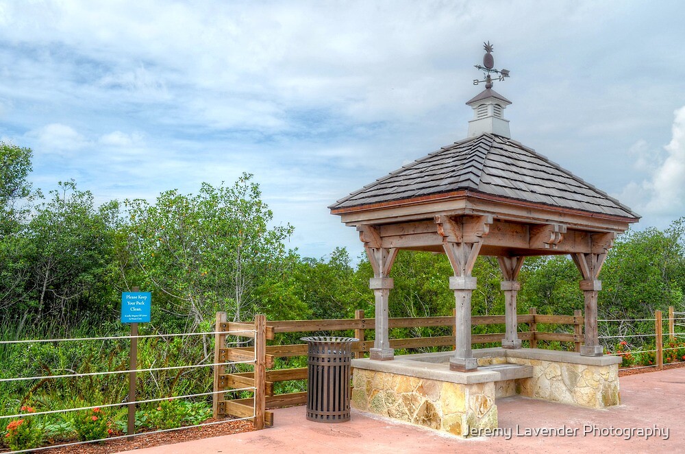 "Bus Stop on Baha Mar Boulevard in Nassau, The Bahamas" by Jeremy ...