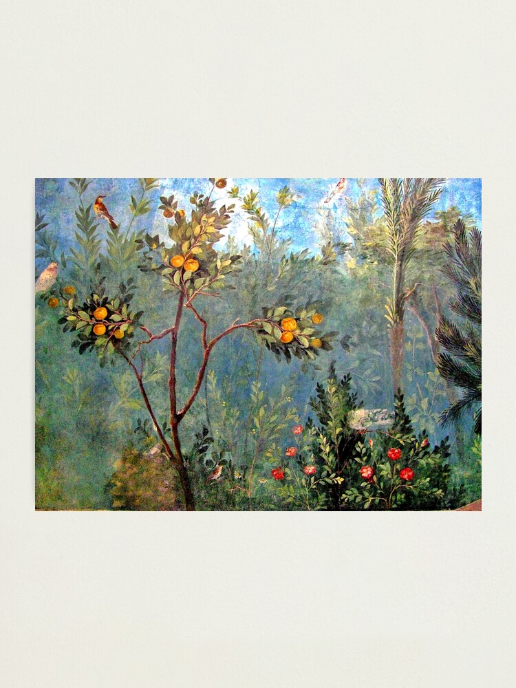 "House of Livia Prima Porta Fresco" Photographic Print for Sale by ...