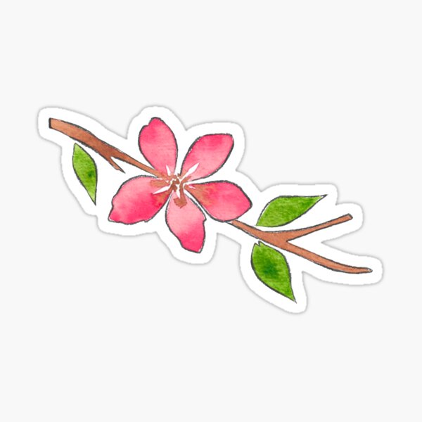 "Watercolor Cherry Blossom Flower" Sticker by ParmidaPaint | Redbubble