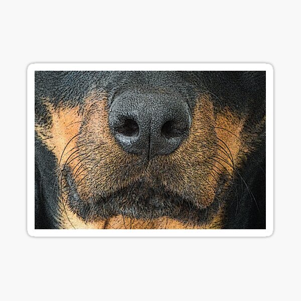 "Rottweiler Dog Face Mask Cute Rottweilers Mouth Mask" Sticker for Sale ...