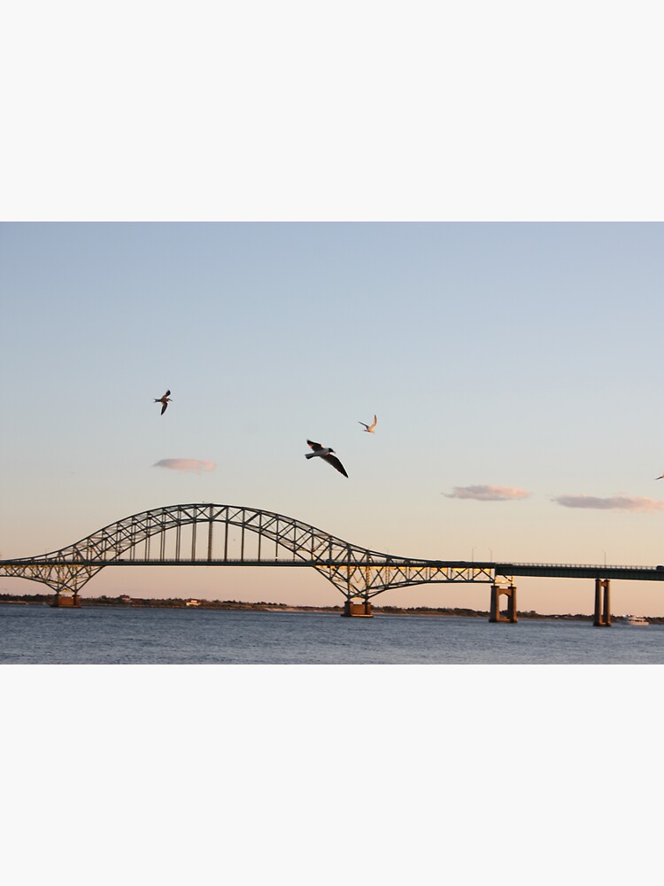 "Captree Bridge Birds" Sticker for Sale by MoonShoppe | Redbubble