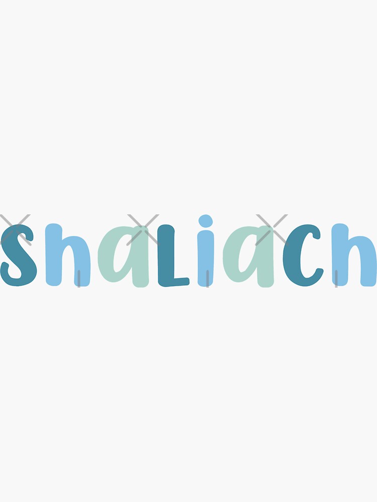 "Shaliach AZA BBYO board positions" Sticker by sharonvered | Redbubble
