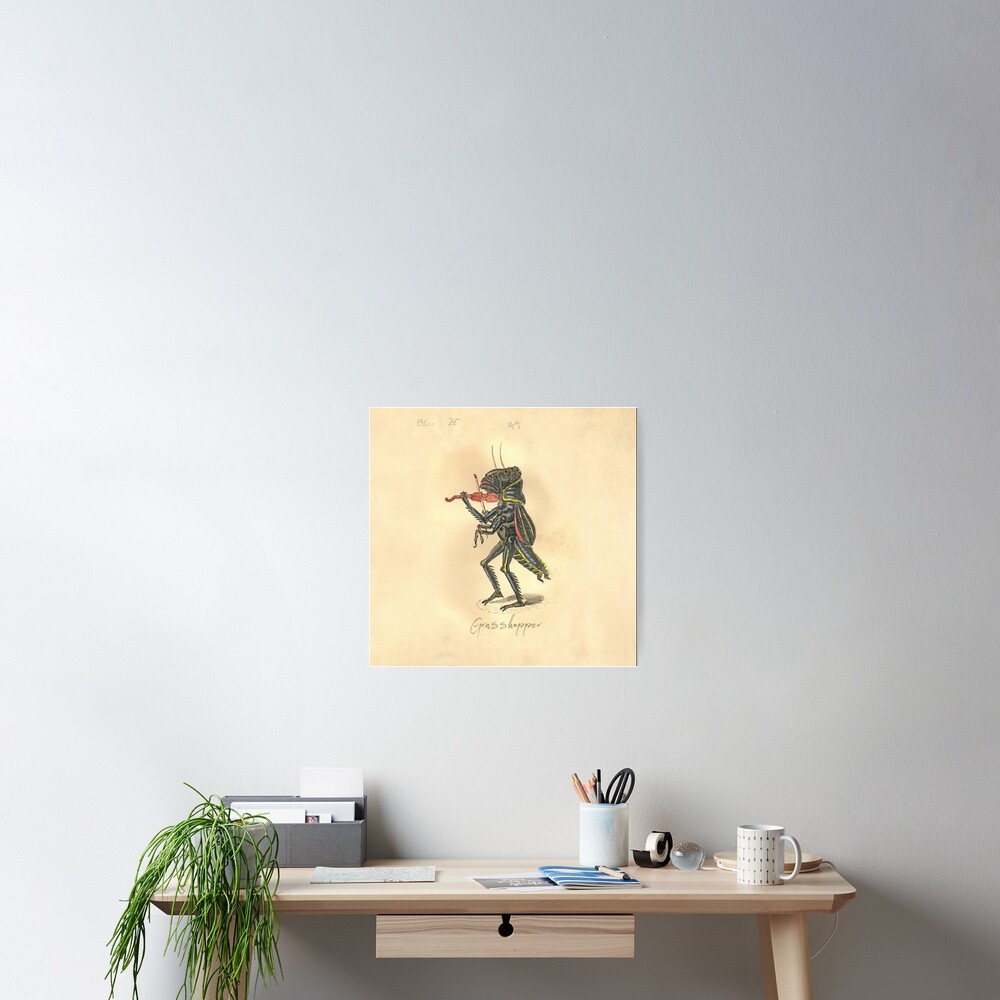 "Grasshopper playing a fiddle by Charles Briton 1873" Poster for Sale ...