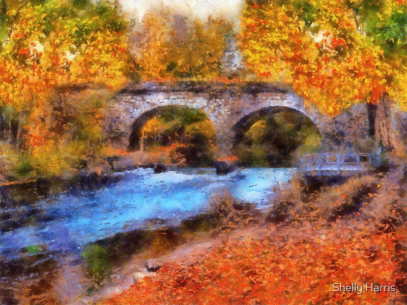 "Autumn Colors In Dap" by Shelly Harris | Redbubble