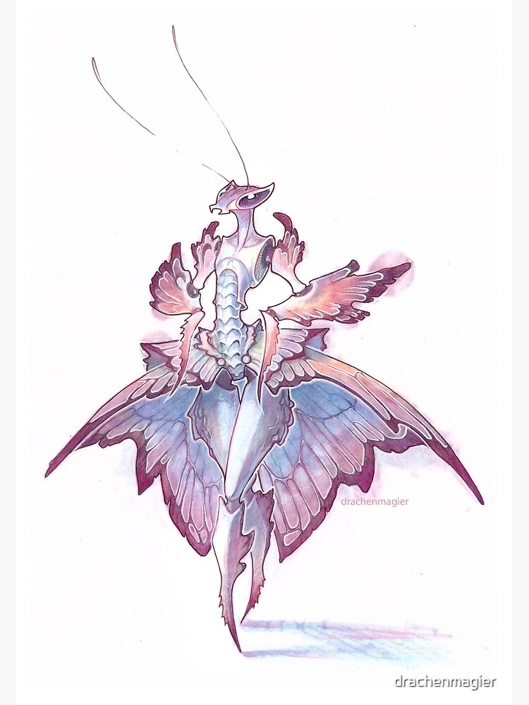 "orchid mantis" Art Print by drachenmagier | Redbubble
