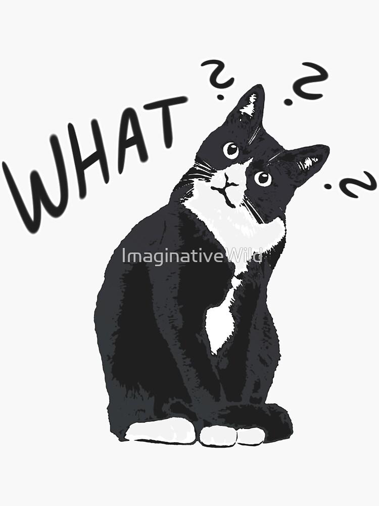 "Confused Cat" Sticker by ImaginativeWild | Redbubble