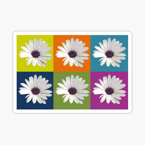 "White African Daisy Collage On Bright Background" Sticker for Sale by ...