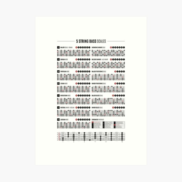"Five String Bass Guitar Scales & Modes Chart" Art Print for Sale by ...