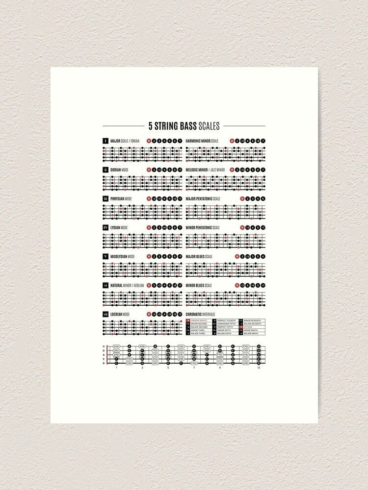 "Five String Bass Guitar Scales & Modes Chart" Art Print for Sale by ...