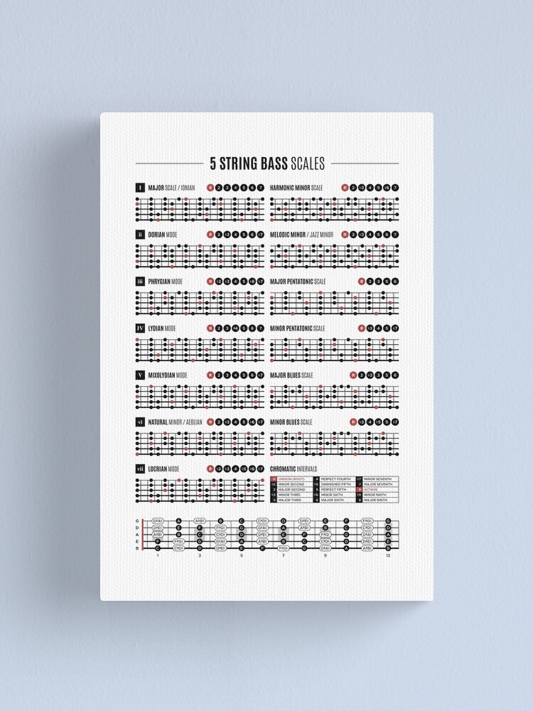 "Five String Bass Guitar Scales & Modes Chart" Canvas Print for Sale by ...