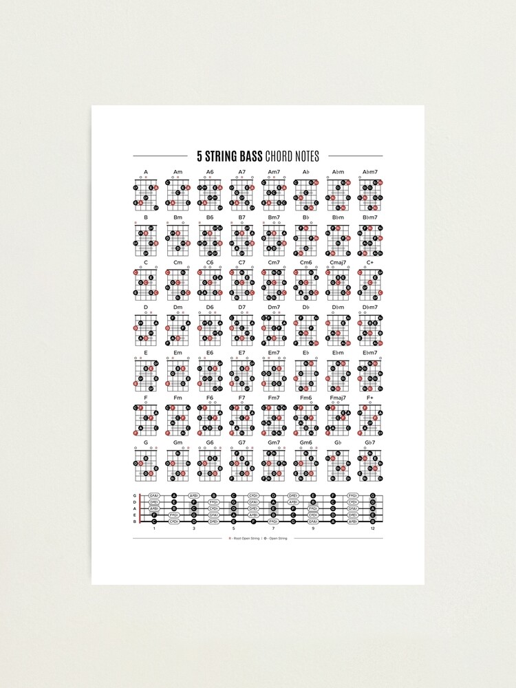 "Five String Bass Guitar Chord Notes" Photographic Print for Sale by ...