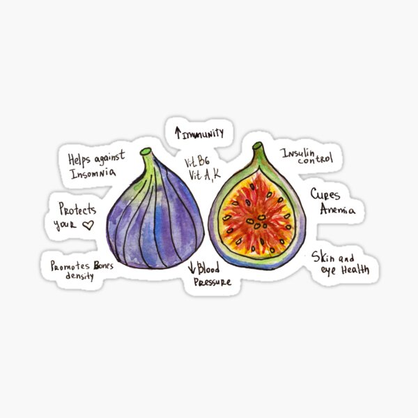 "Fig" Sticker for Sale by Catchthemonster | Redbubble