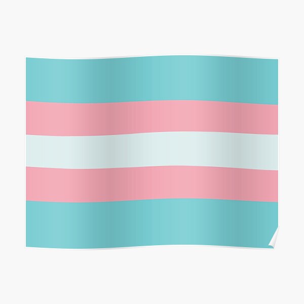 "Trans Pride Flag" Poster for Sale by nameless---wolf | Redbubble