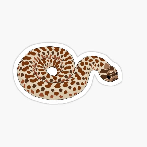 "Western Hognose Snake" Sticker for Sale by waywardbrother | Redbubble