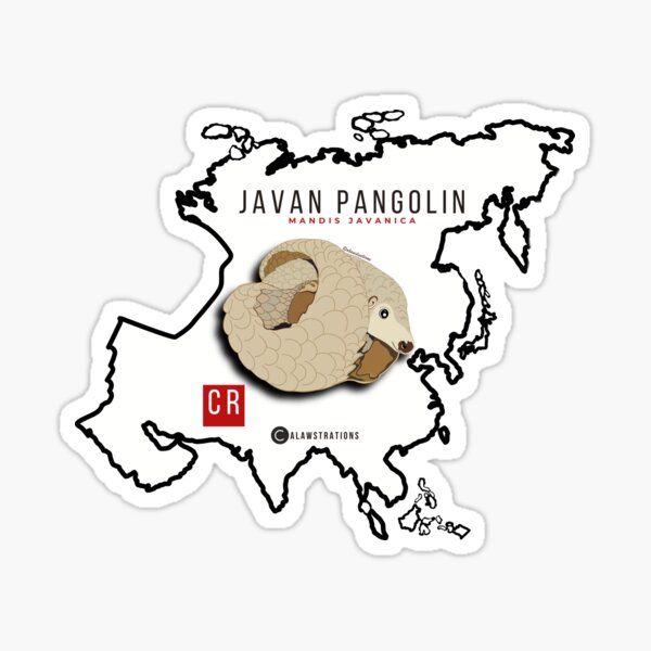 "Javan Pangolin (Mandis Javanica)" Sticker for Sale by Alawstrations ...
