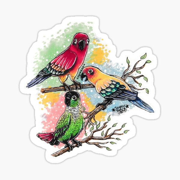 "Rainbow Conures" Sticker by SupernovaSktchs | Redbubble