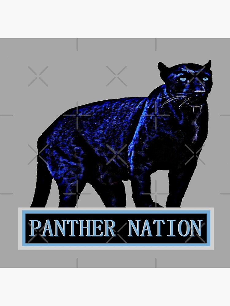 "Panther Nation Football Men Women Kids" Poster by NCSportswear | Redbubble