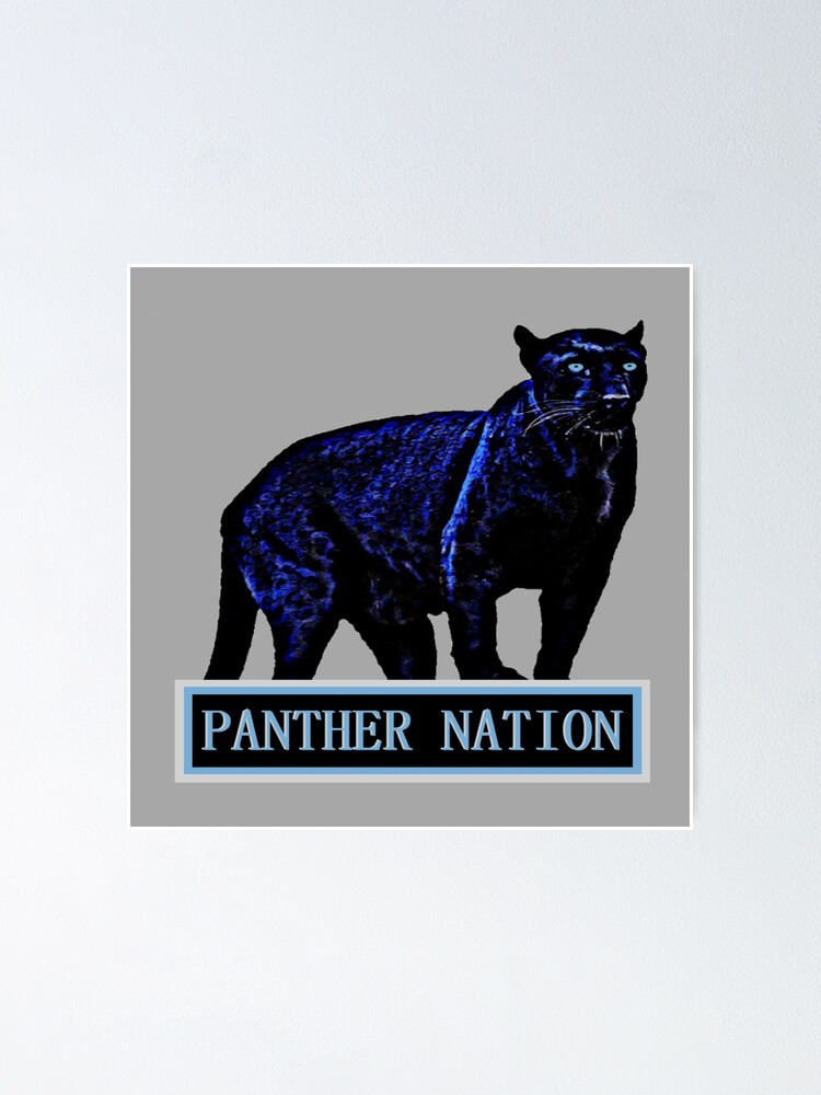 "Panther Nation Football Men Women Kids" Poster by NCSportswear | Redbubble